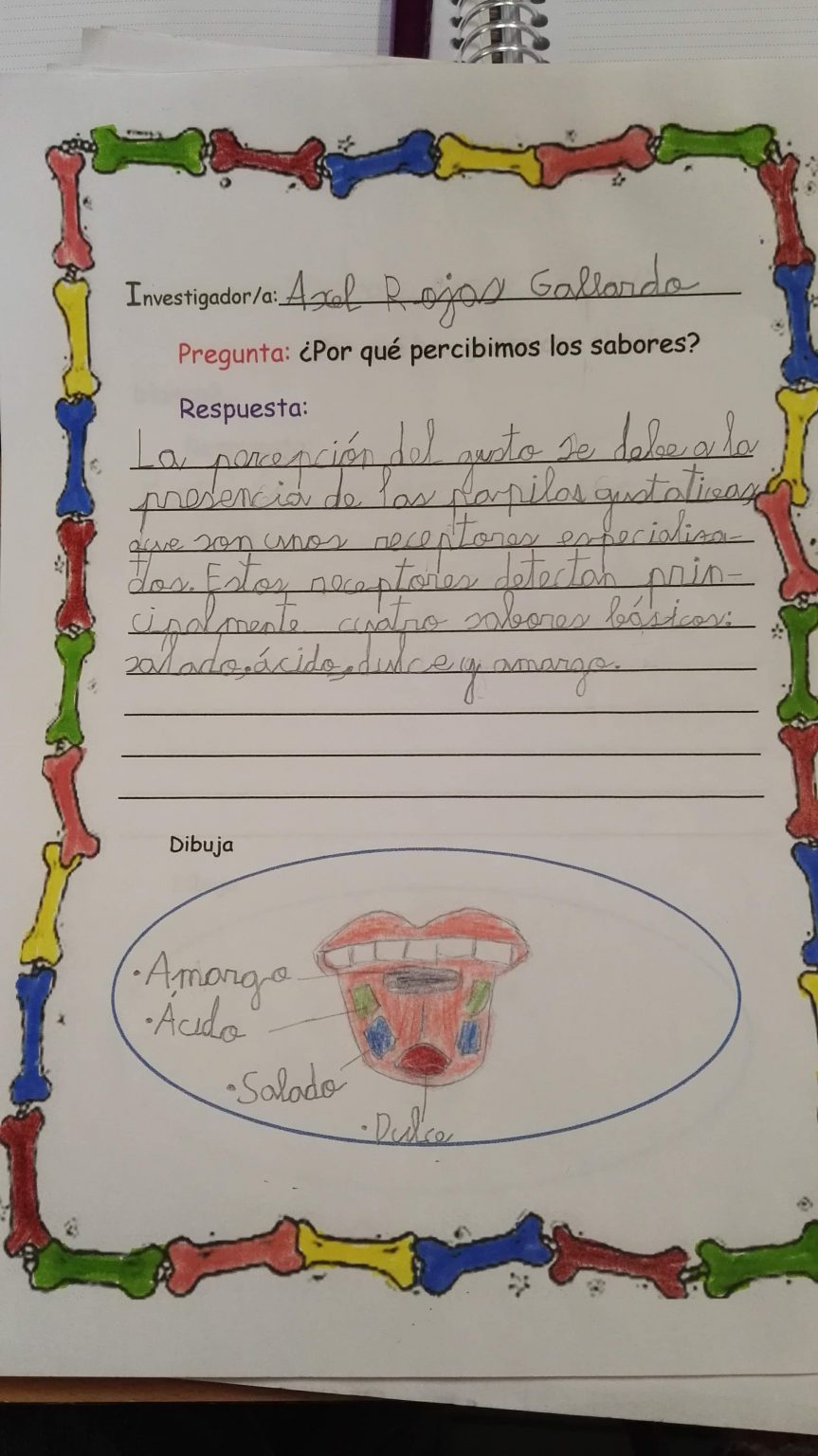 🤸🏻‍♀️ Nuestro cuerpo: el libro de los POR QUÉ - La libreta piruleta